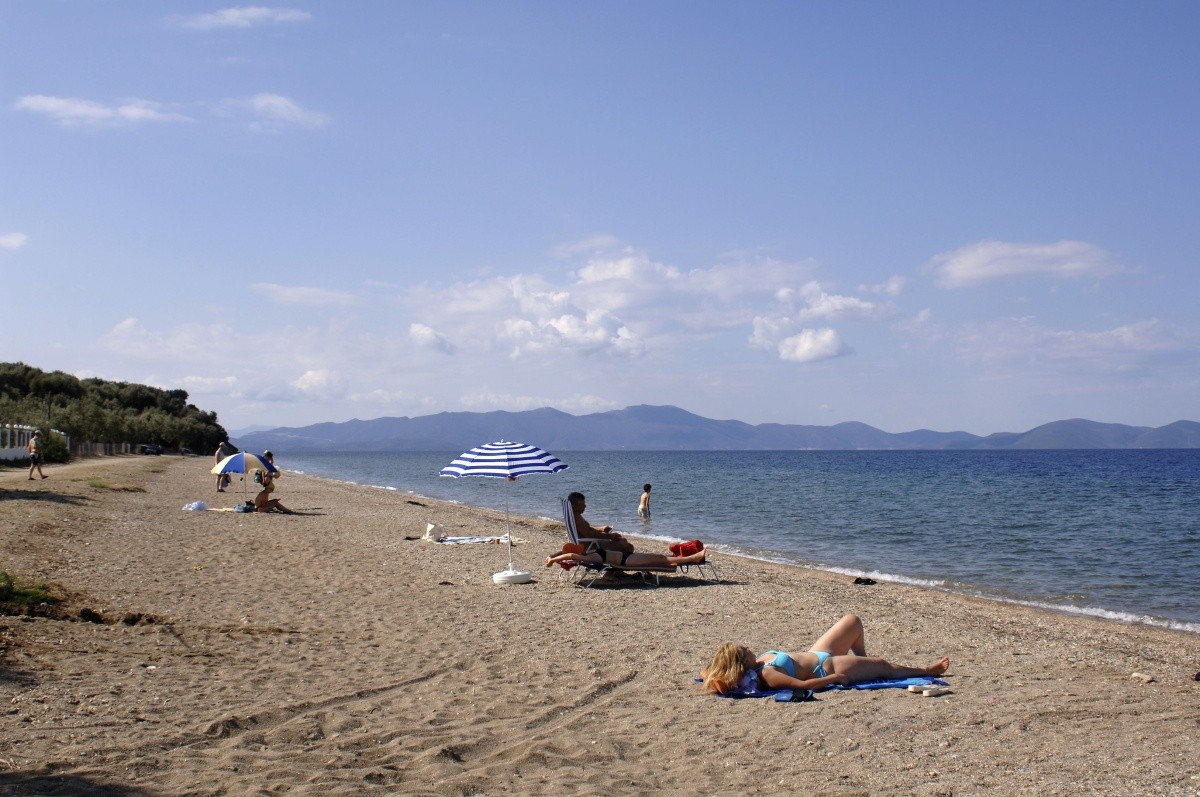 Hotel Seralis (Koropi), Grecja Środkowa - Grecja, opinie | Travelplanet.pl