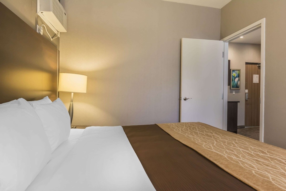 Hotel Comfort Inn Toronto City Centre, Kanada Toronto - Invia