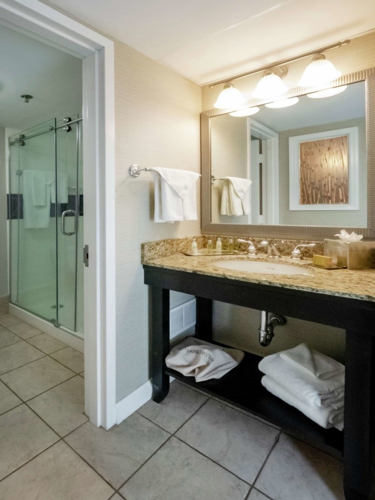 Hotel DoubleTree Buffalo - Amherst, USA New York - Invia