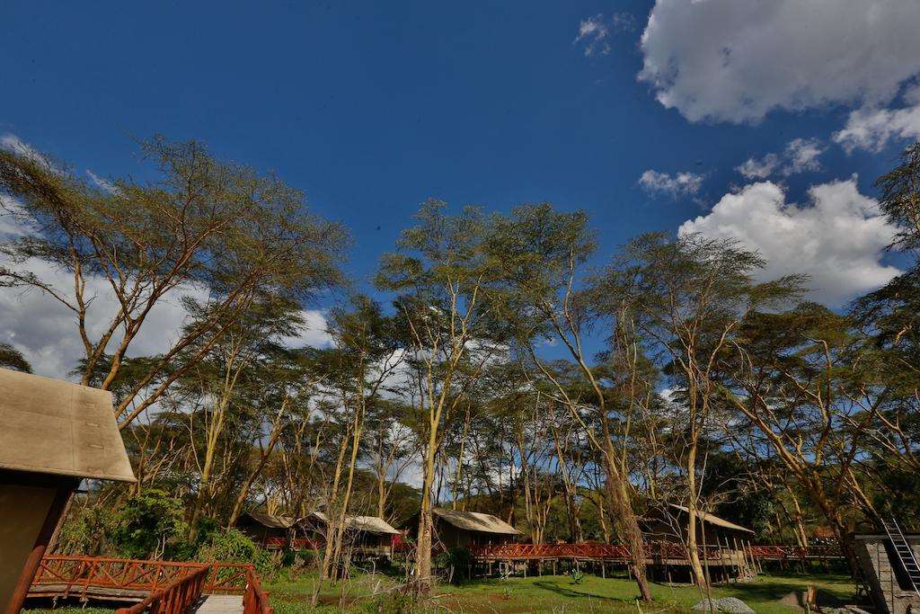 Hotel Kiboko Luxury Camp, Keňa - Invia