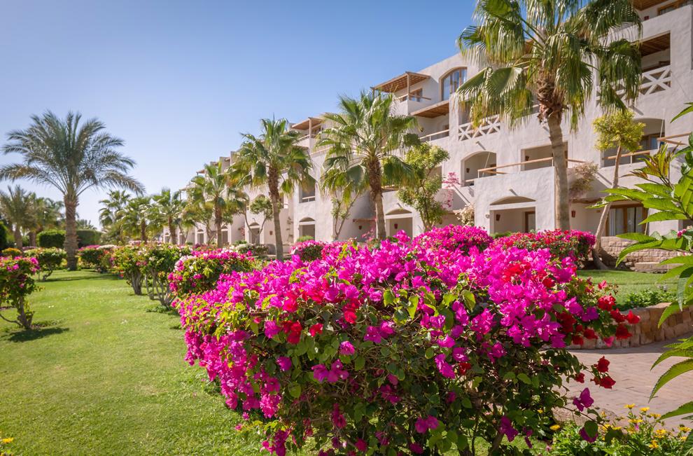 Hotel Fort Arabesque The Beach Resort, Egypt Hurghada - 1 049 € Invia