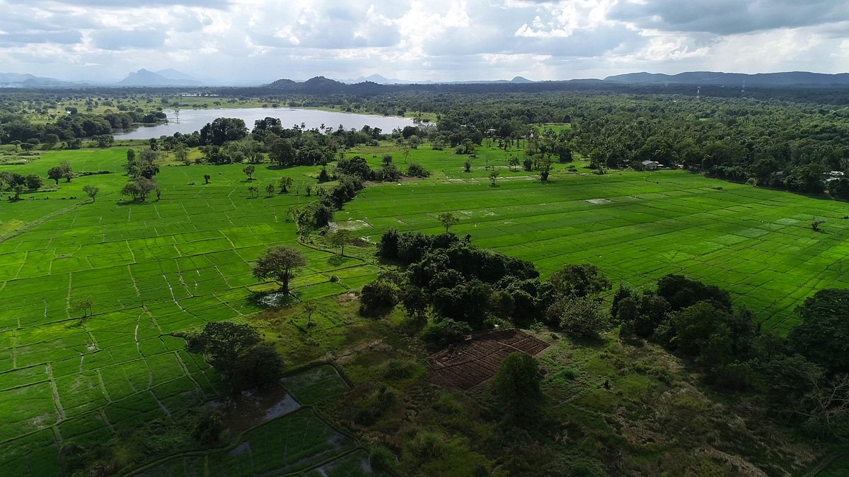 Hotel Camellia Resort and Spa (Sigiriya), Srí Lanka - Invia