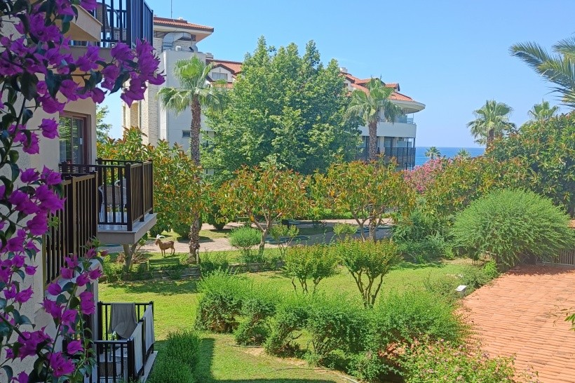 Hotel Alba Resort, Side - Turcja, opinie | Travelplanet.pl